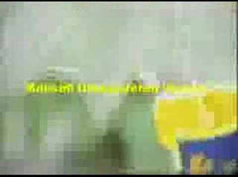 Mıknatıslı Cam Silici Kolay Cam Silme Aparatı