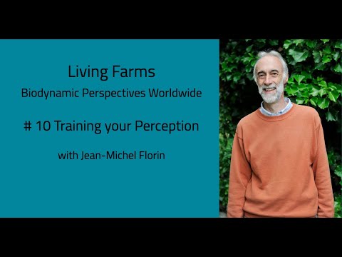#10 Training your perception - YouTube