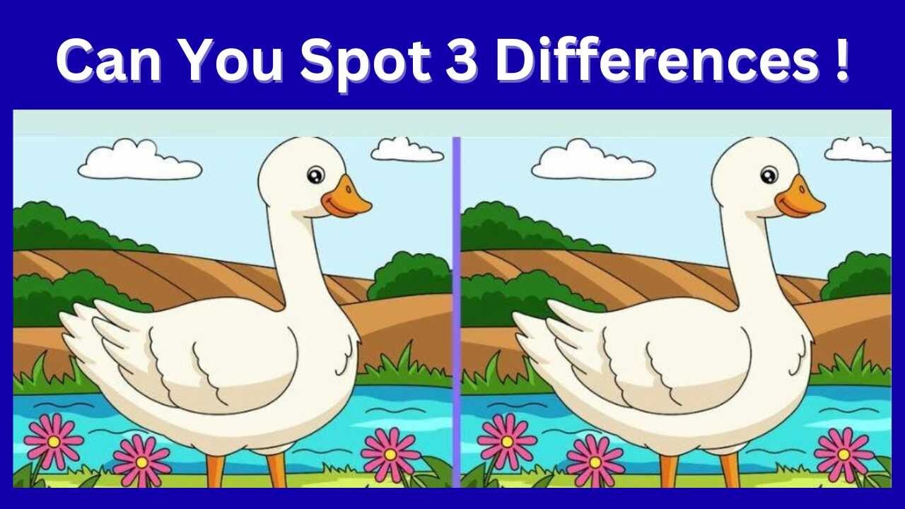 Brain Teasers|Math Challenges|Spot the Difference|Picture puzzles ...