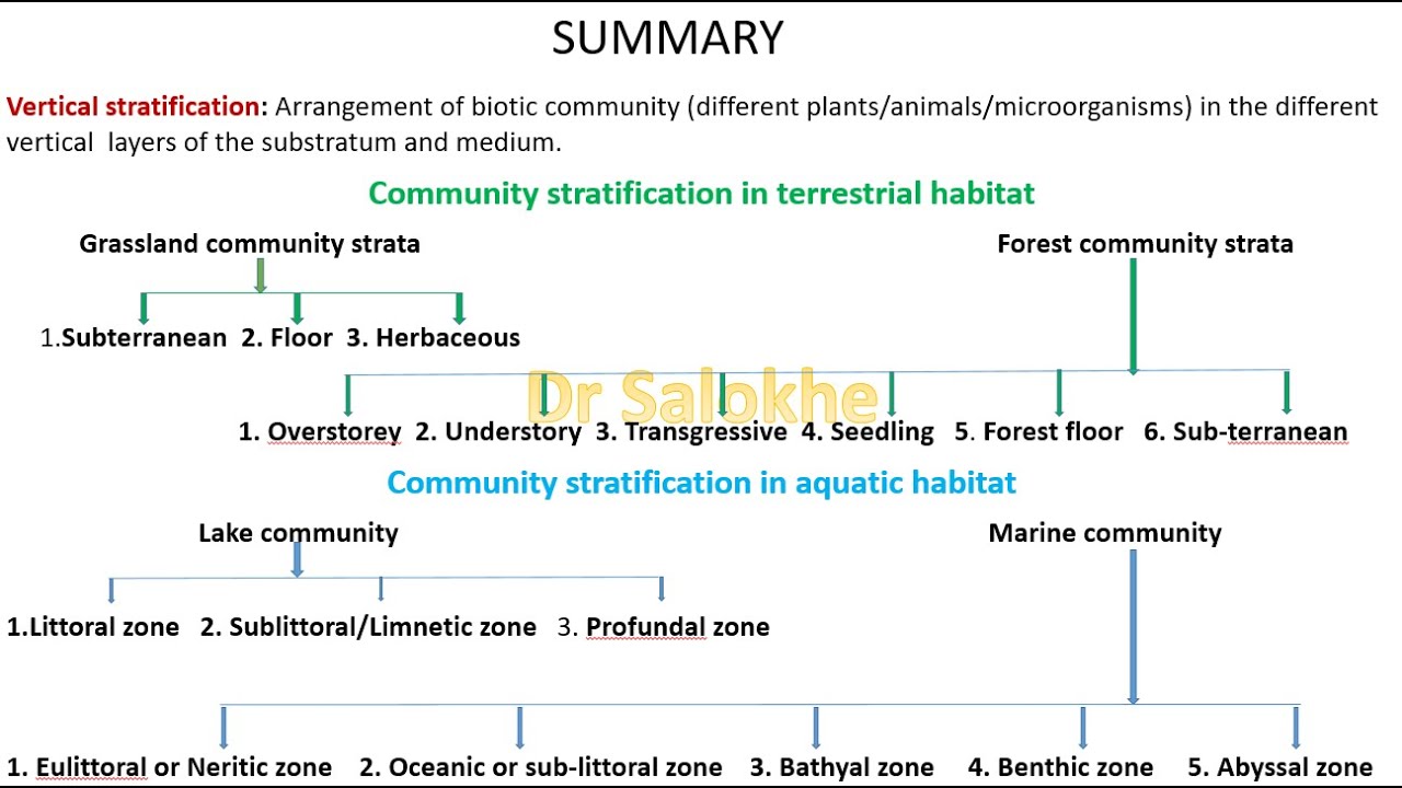 community ecology: Vertical stratification - YouTube