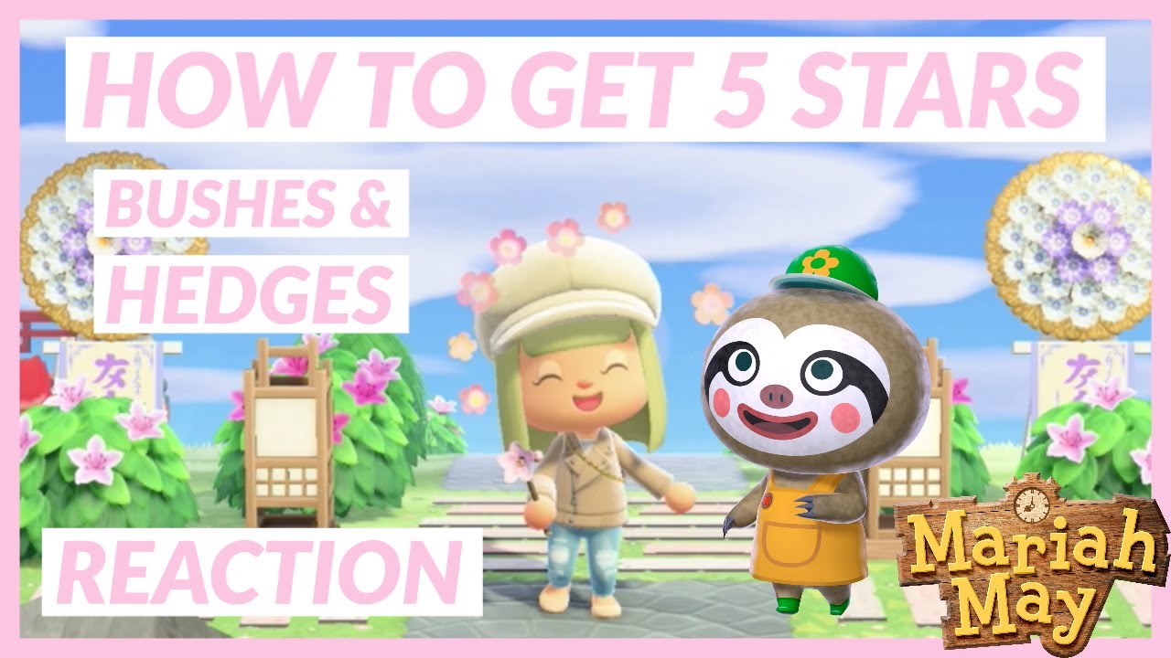Leif's New Stall: Bushes & Hedges REACTION & How to Decorate for 5 ...