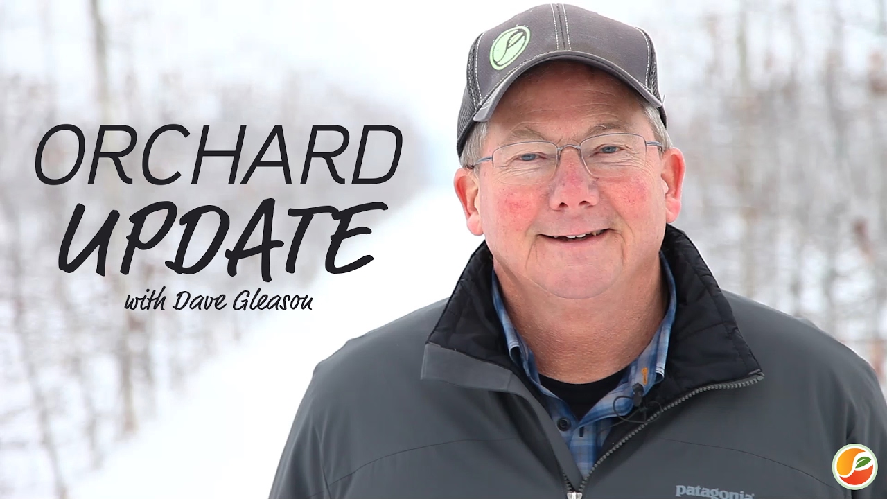 Orchard Update with Dave Gleason - January 2017 - YouTube
