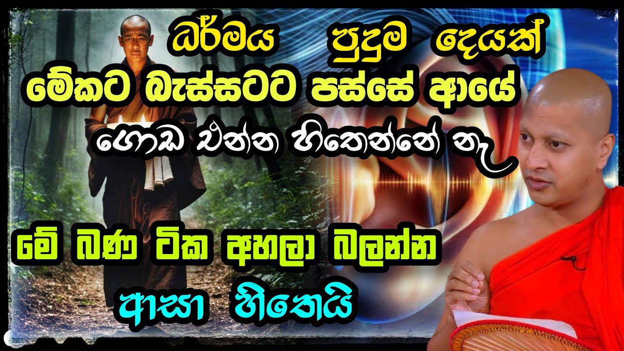 ධර්මය පුදුම දෙයක් මේකට බැස්සට පස්සේ ආයේ ගොඩ එන්න හිතෙන්නේ නැ Hadigalle ...