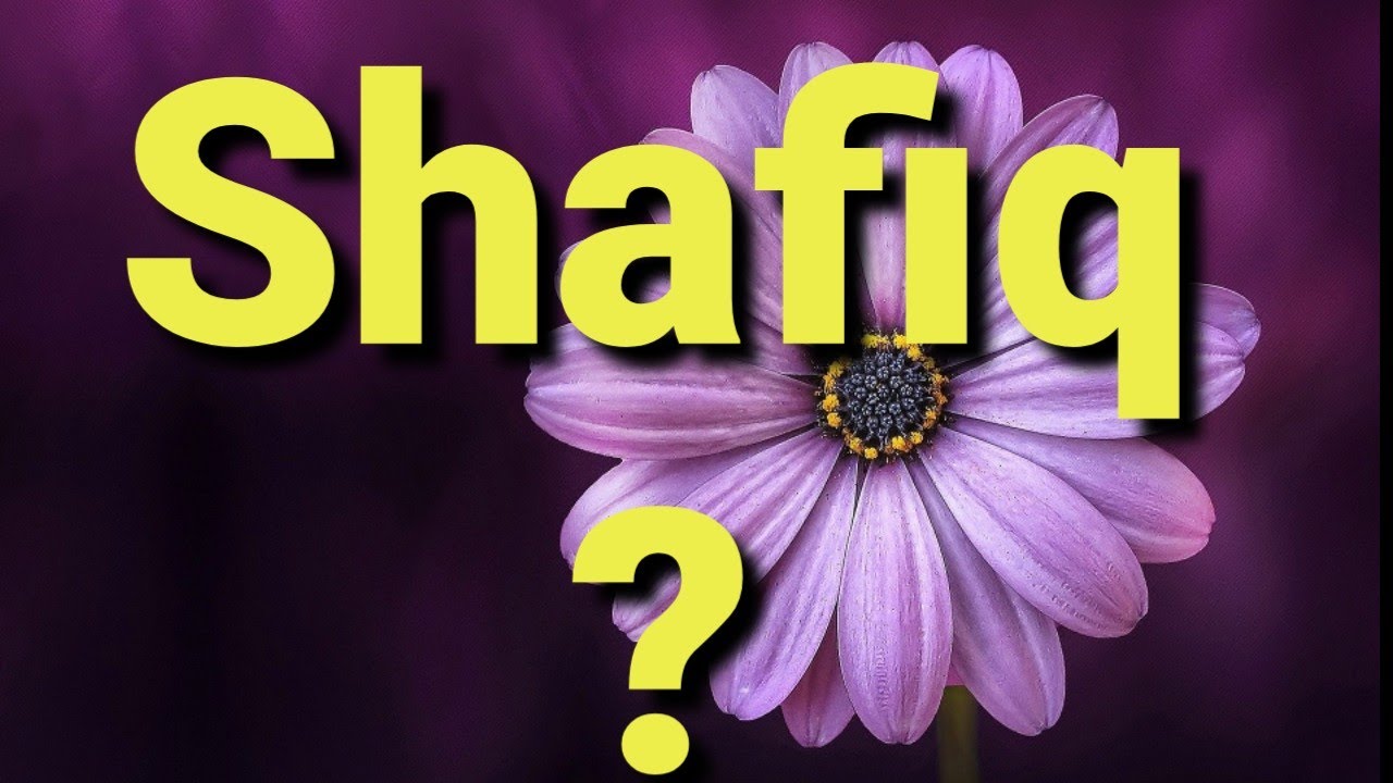Shafiq Name Meaning | Shafiq Name Status | Shafiq Name WhatsApp Status ...