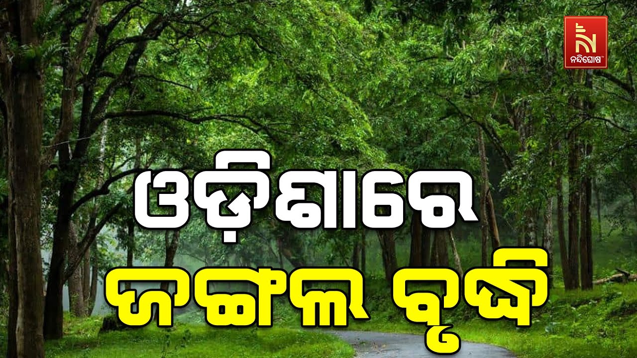 Odisha's Forest and Tree Cover Increased By 559 Sq Km | Forest Survey ...