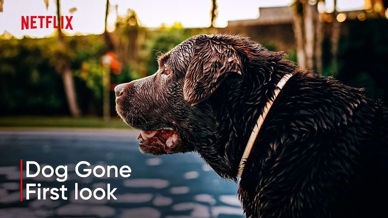 First Look Netflix's 'Dog Gone' Starring Rob Lowe (2023) - YouTube