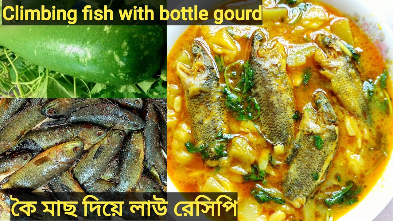 মাছ দিয়ে লাউ রান্না||সবজি রান্নার রেসিপি||Bengali cooking||Bengali ...