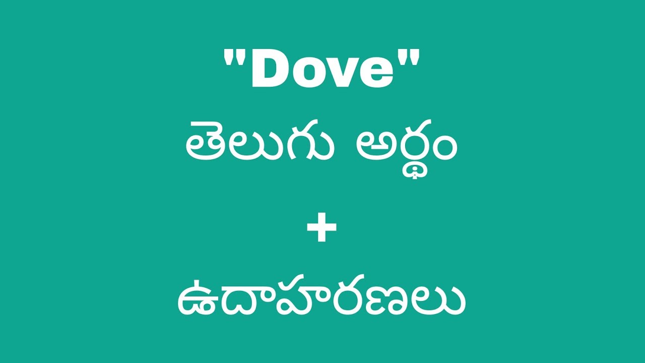 Dove meaning in telugu with examples | Dove తెలుగు లో అర్థం @Meaning in ...