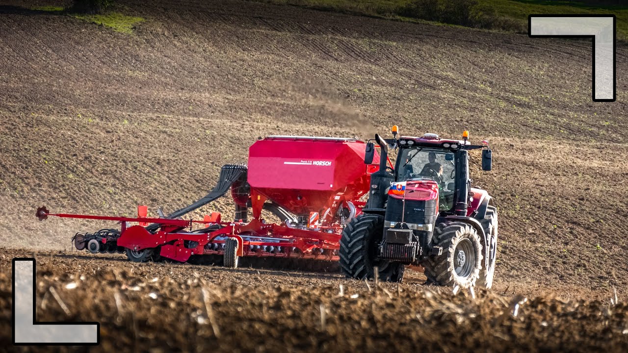 CASE IH MAGNUM 380 & HORSCH Pronto 9 DC | Sejba na Orave - YouTube