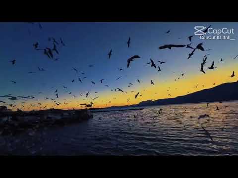 Çok güzel görüntü hemen izleyin 