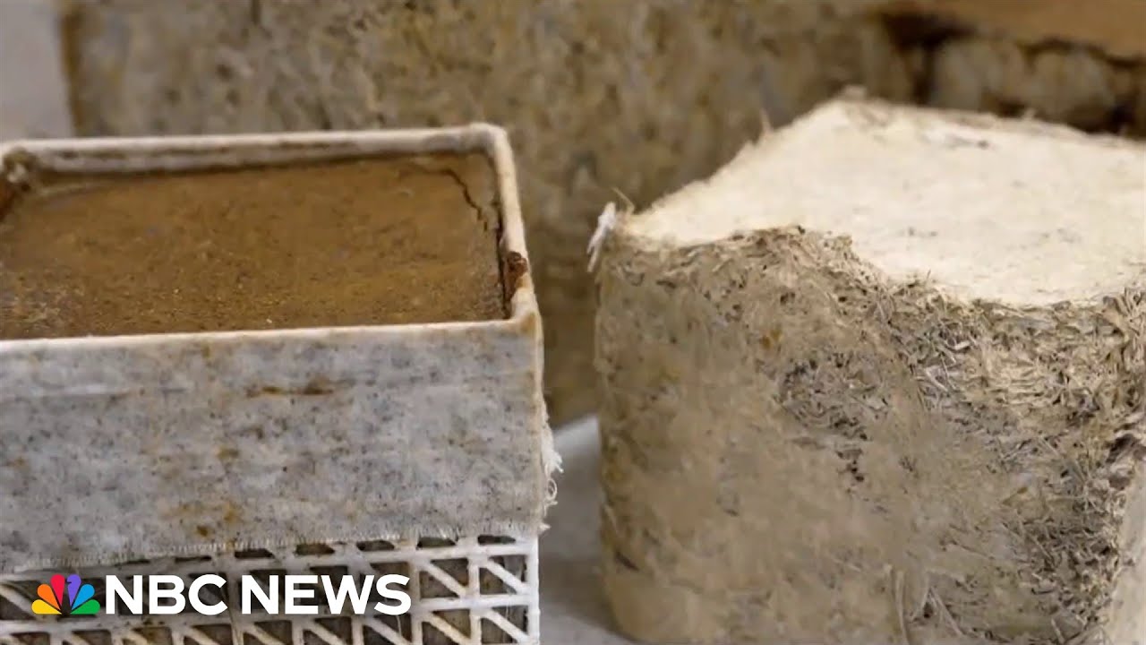 Concrete made from sugarcane could help fight climate change - YouTube