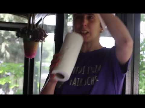 Barışmalı Şarkı