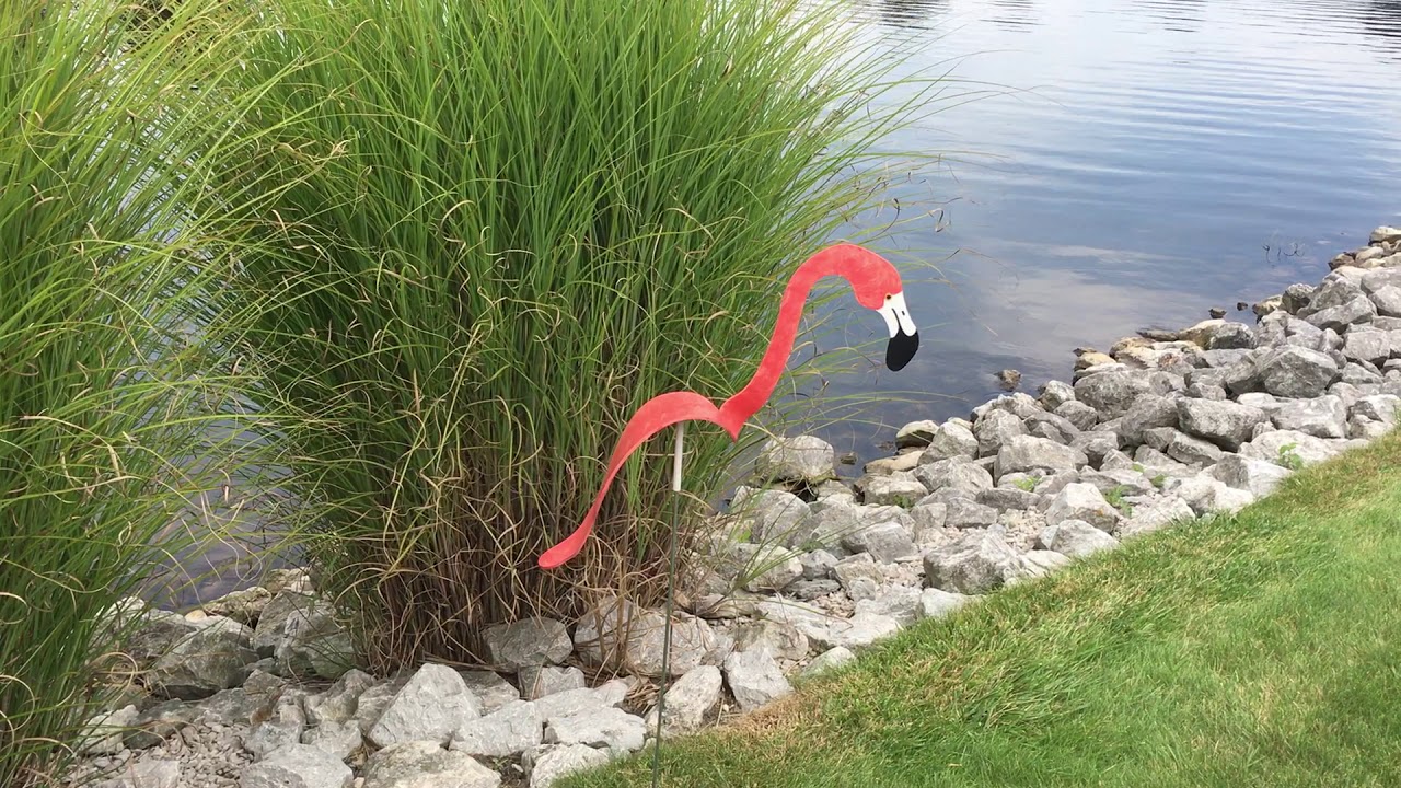 Florida Dancing Birds® Coral Flamingo Garden Art - YouTube