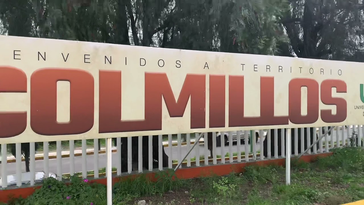 RECORRIDO UNIVERSIDAD POLITÉCNICA DE TECÁMAC - YouTube