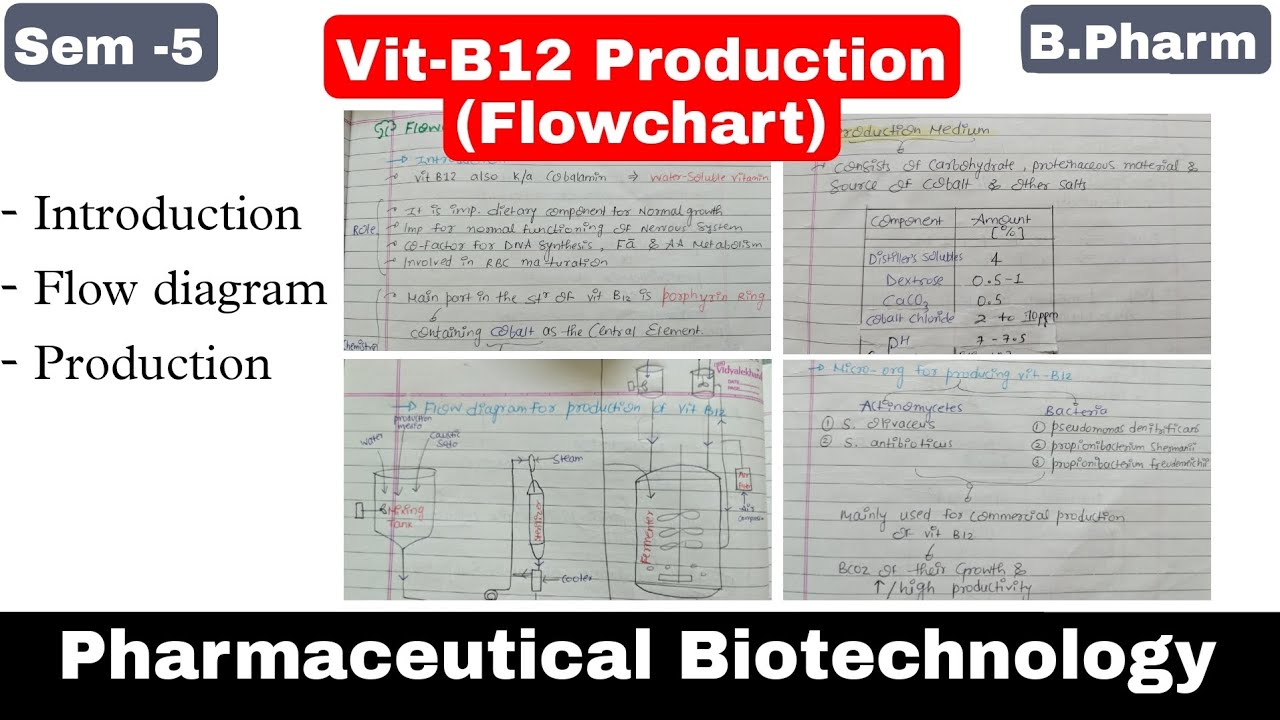 Vit B12 Production Sem 5 B pharm Pharmaceutical Biotechnology vit-b12-production-sem-5-b-pharm-pharmaceutical-biotechnology