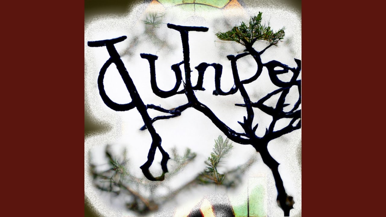 Juniper - YouTube