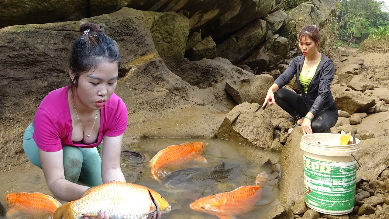 Greatest Fishing, How to Catch Wild Fish, The Girl Use Motors to Suck ...