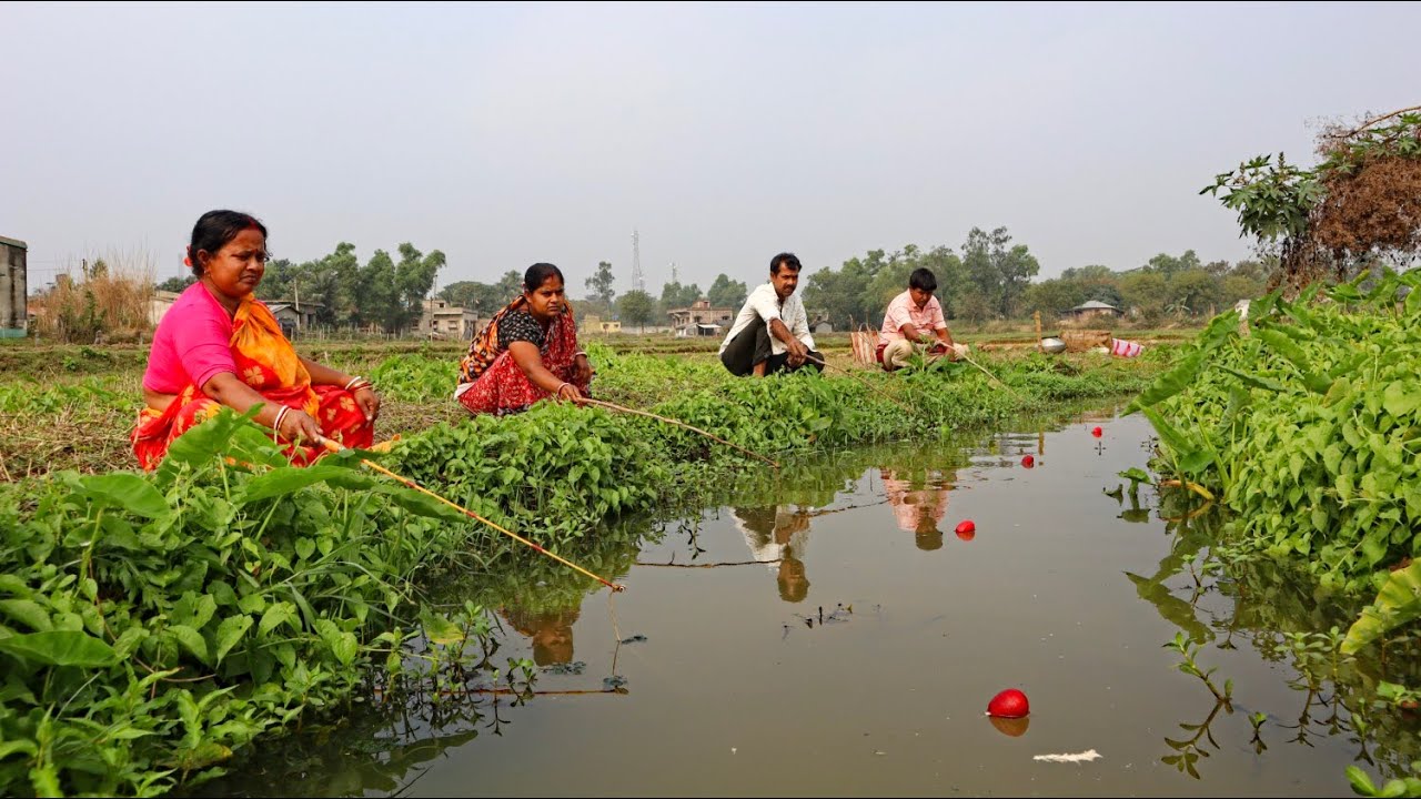 Fishing Video || Wonderful scene of beautiful lady & man fishing in ...