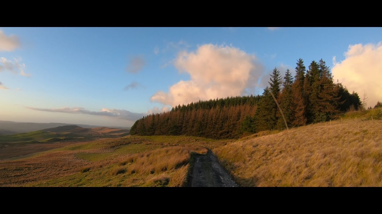 STRATA FLORIDA 4x4 Green Laning 4K - YouTube