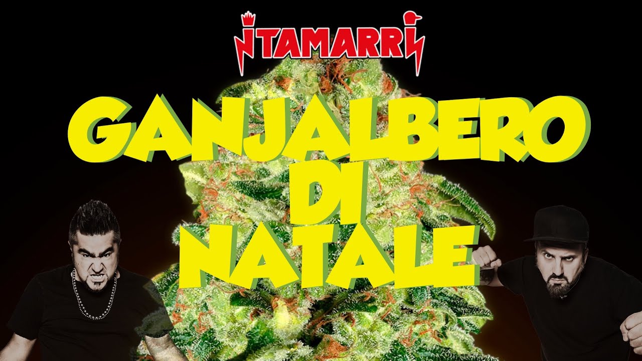 I TAMARRI - GANJALBERO DI NATALE - YouTube