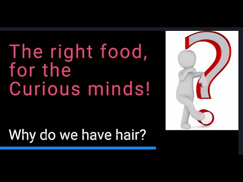 Tell me why, Mom why do we have hair - YouTube