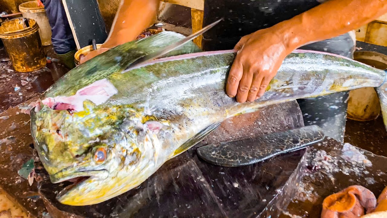 EXPERT FISH CUTTER || MAHI MAHI FISH CUTTING & FILLET IN TRADITIONAL ...