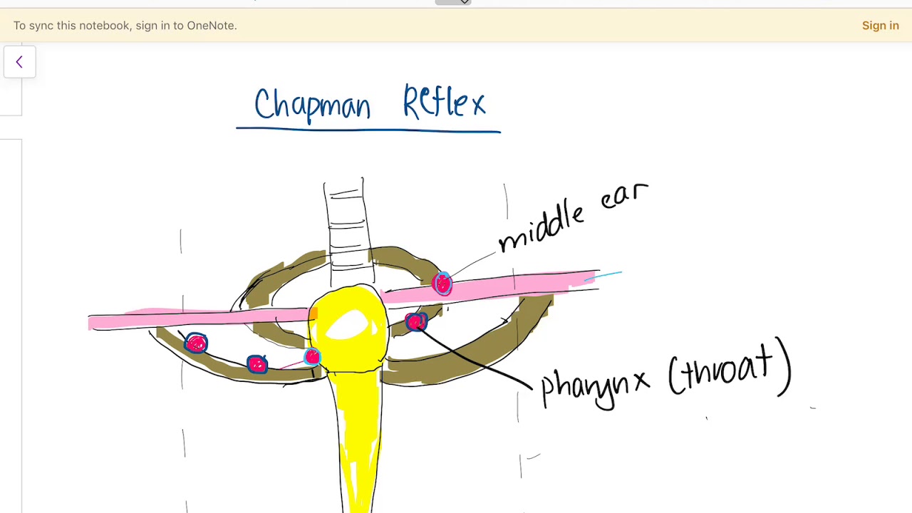 Chapman Points: Reflex Ear Throat Larynx Sinuses Tonsils - YouTube