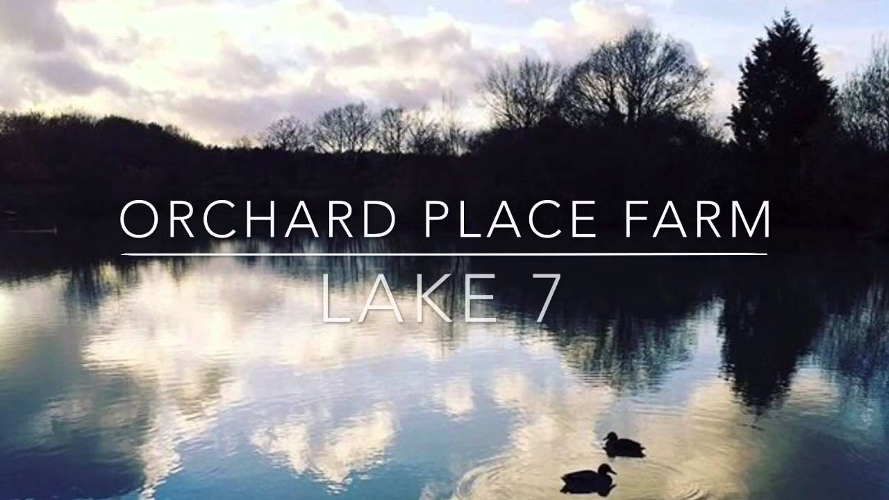 Orchard Place Farm - Lake 7 - YouTube