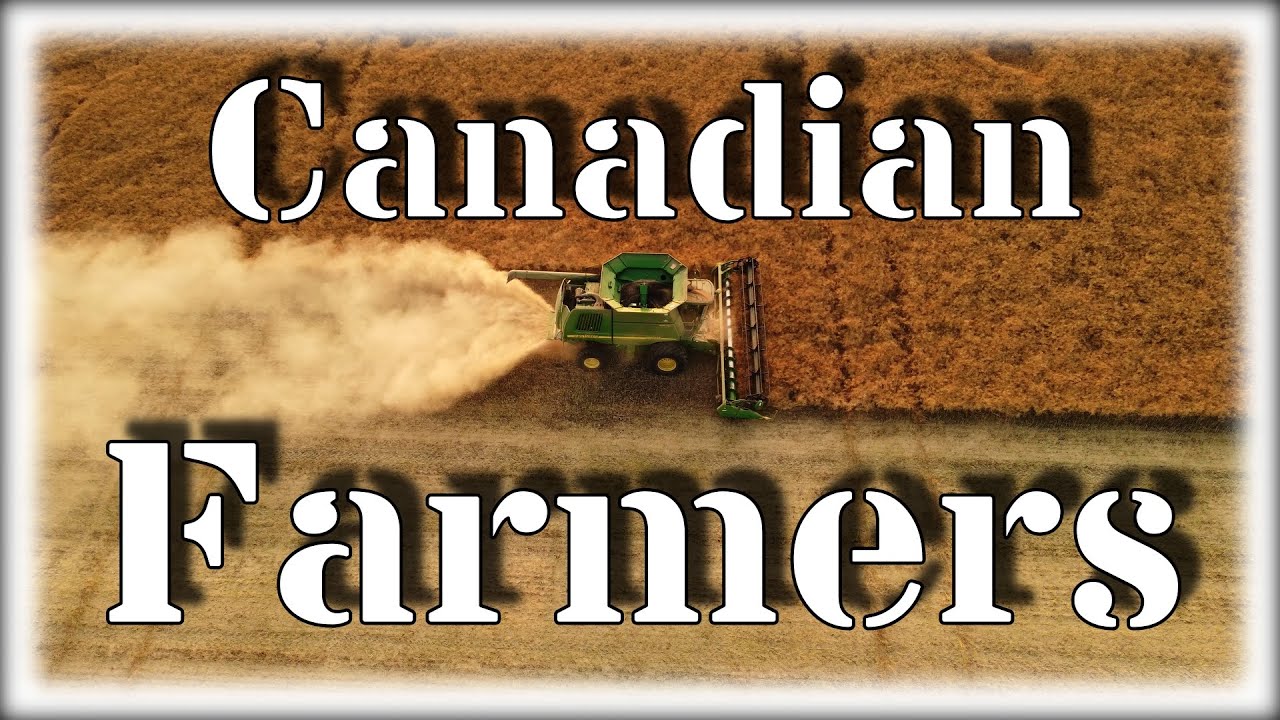 Drone footage of Canadian Farmers Harvesting | Saskatchewan - YouTube