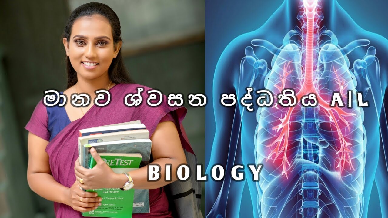 මානව ශ්වසන පද්දතිය | උසස් පෙළ ජීව විද්‍යාව | Lakmini Karannagoda - YouTube