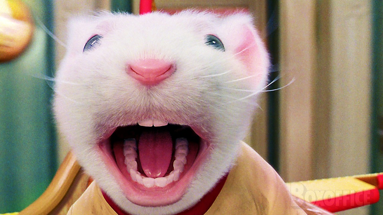 10 minutos de un lindo ratoncito haciendo cosas de humanos 🌀 4K - YouTube
