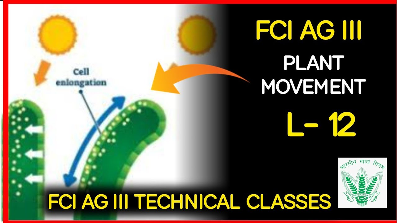 Basics of Plants Movements [L- 12] | FCI AG 3 Technical Classes | FCI ...