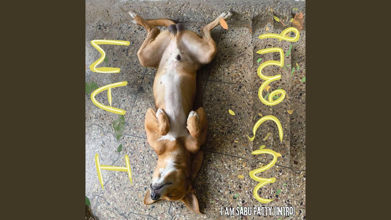 I Am Sabu Patty (Intro) - Sabu Patty: Song Lyrics, Music Videos & Concerts