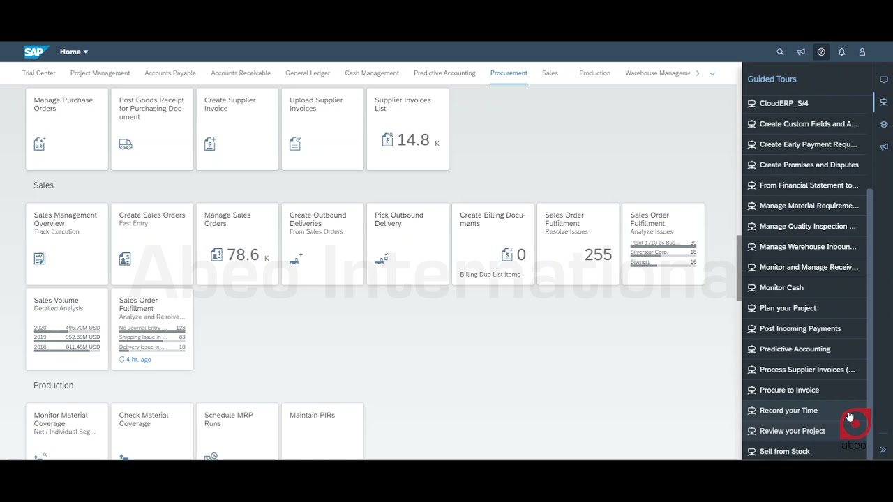 SAP Enable Now Framework demonstration (tiếng Việt) - YouTube