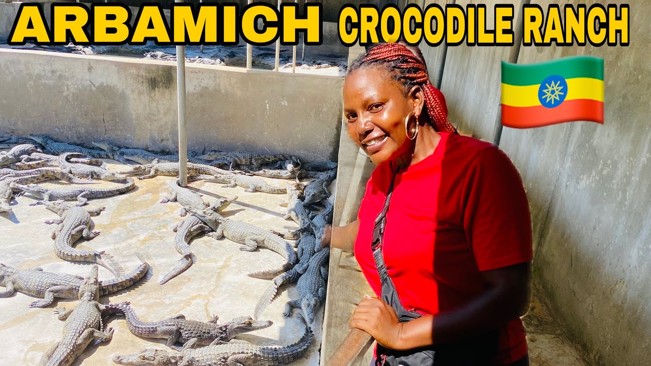 You'll NEVER Guess What I Found on My Way To Arbaminch Crocodile Ranch ...