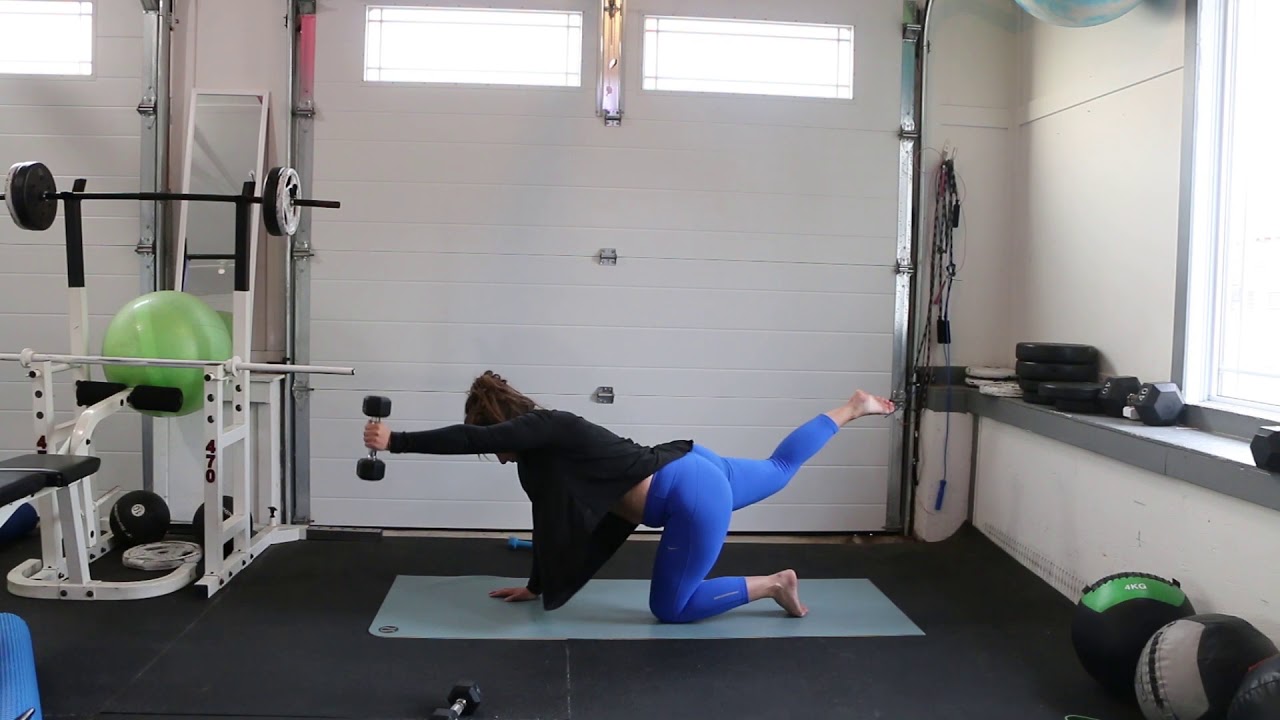 wEIGHTED bIRD DOG - YouTube