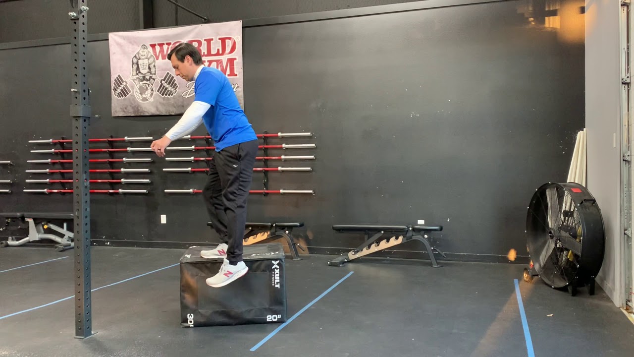Lateral Step Up | ACE Physio & Performance, PLLC - YouTube