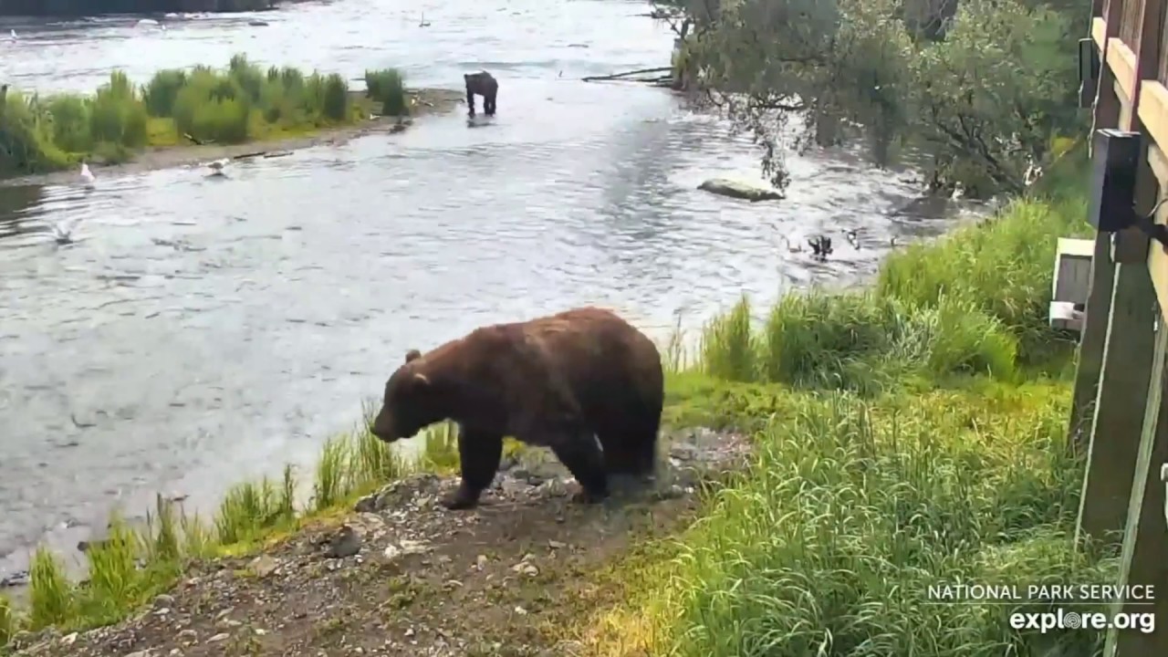 32 Chunk at the falls 6/30/2020 - YouTube