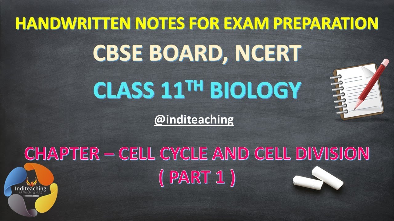 CELL CYCLE AND CELL DIVISION CLASS 11 BIOLOGY NOTES PART 1 ...