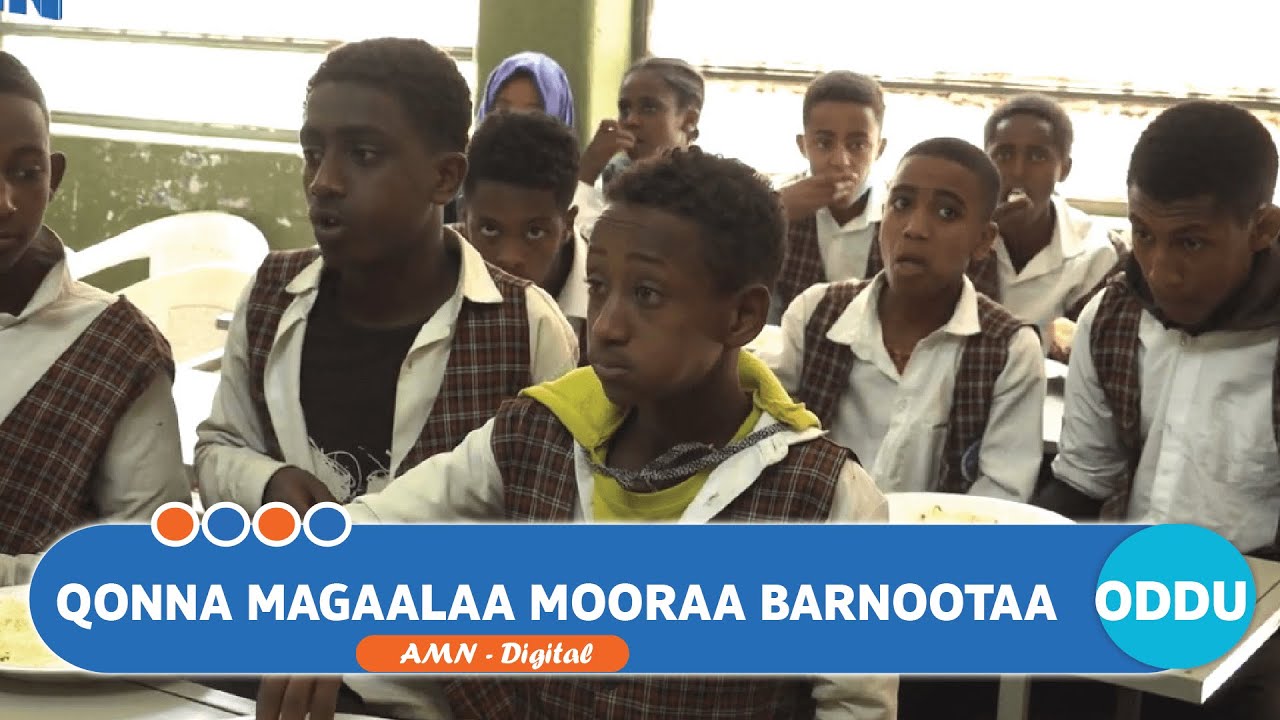 QONNA MAGAALAA MOORAA BARNOOTAA - YouTube