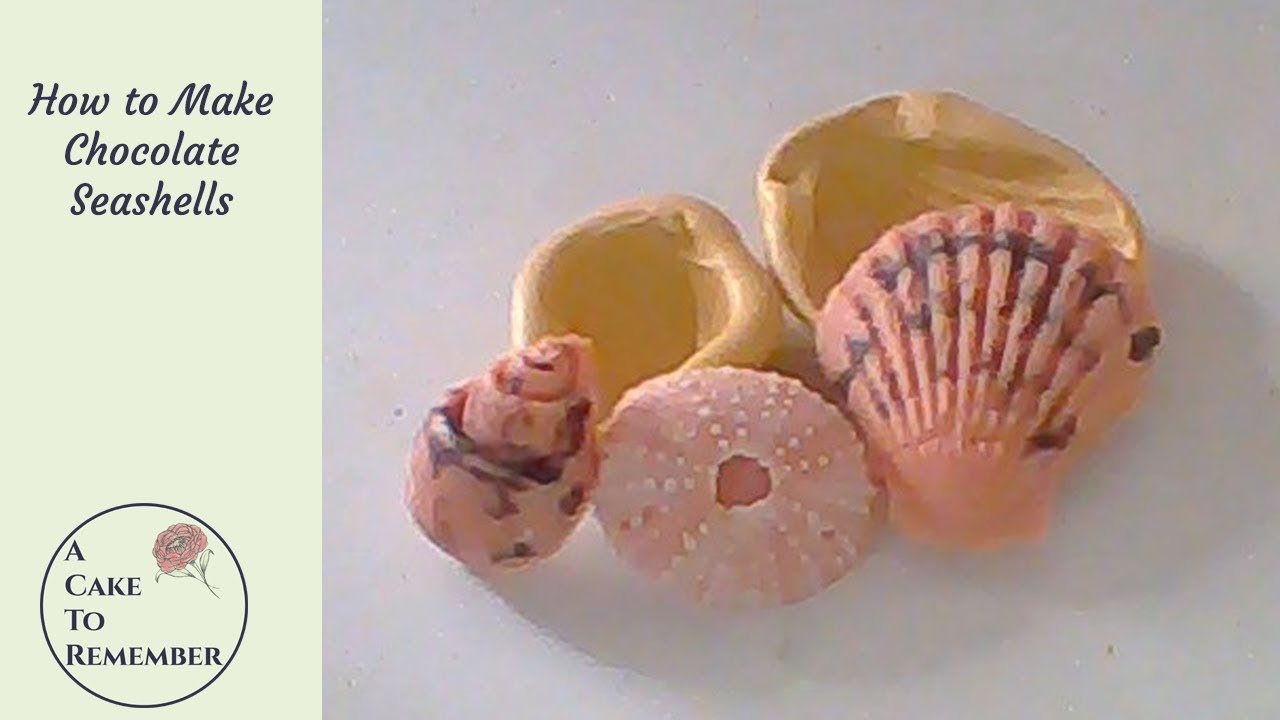 How To make chocolate seashells and Paint A Shell Mold With Chocolate ...