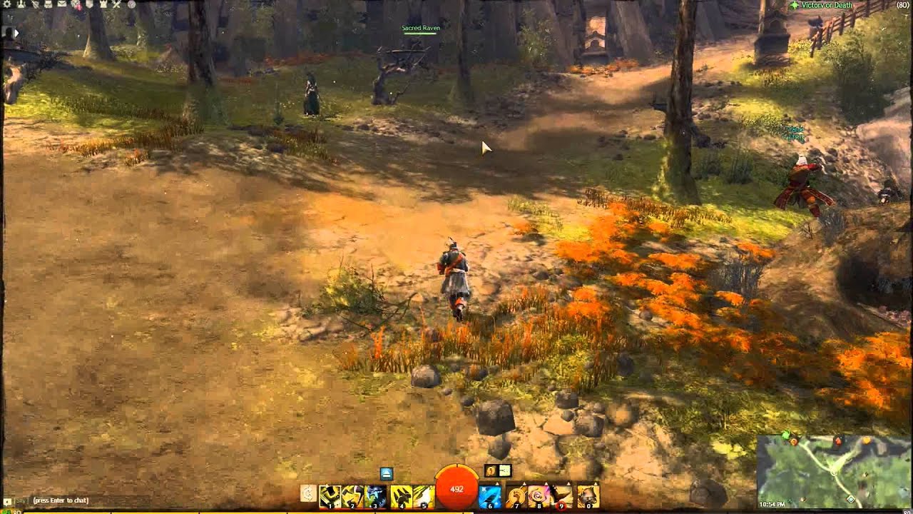 GW2 Ranger Pet Locations - Raven - YouTube