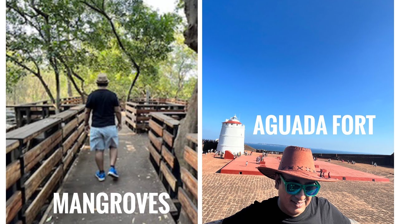 Goa |Mangrove Board Walk | Maruti Temple | Basilica of bom jesus ...