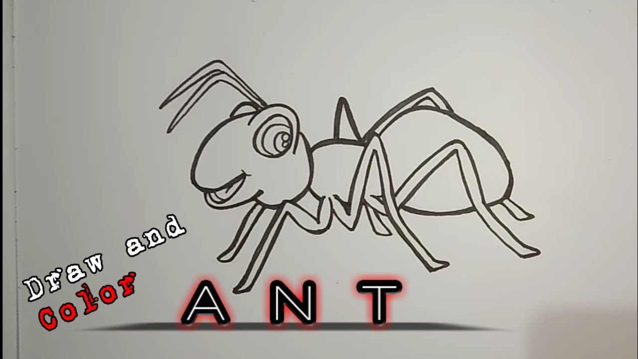 menggambar dan mewarnai semut // How to draw ant step by step , easy ...