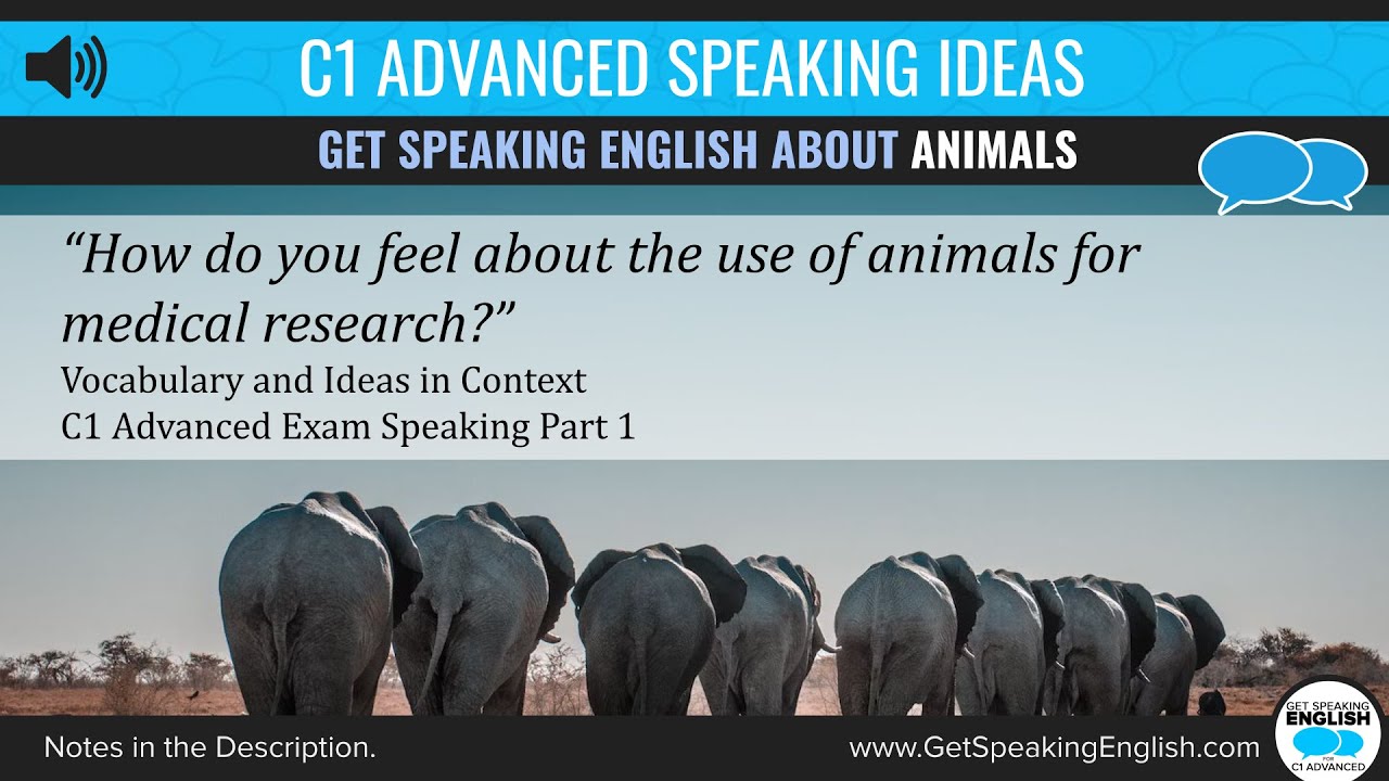 Get Speaking about Animals - How do you feel about the use of animals ...