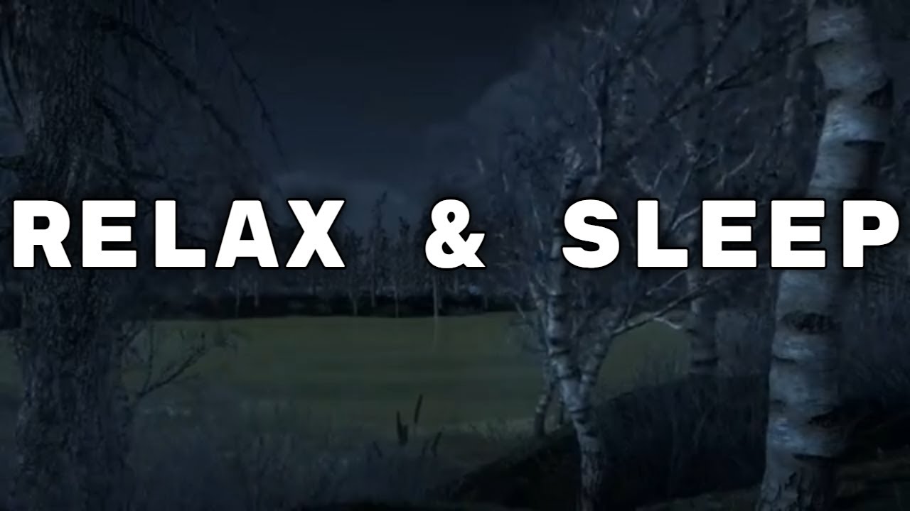 RELAX & SLEEP during a CLEAR WINDY NIGHT in the deep BAYOU SWAMP, LA ...