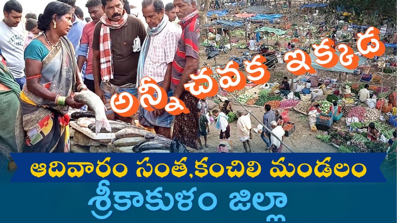 Kanchili Sunday Market ఆదివారం సంత, Kanchili Market ,Srikakulam # ...