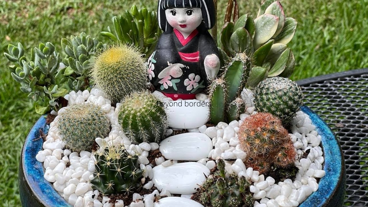Japanese Gardens Cactus 100pcs Japanese Succulents Seeds Rare Indoor
