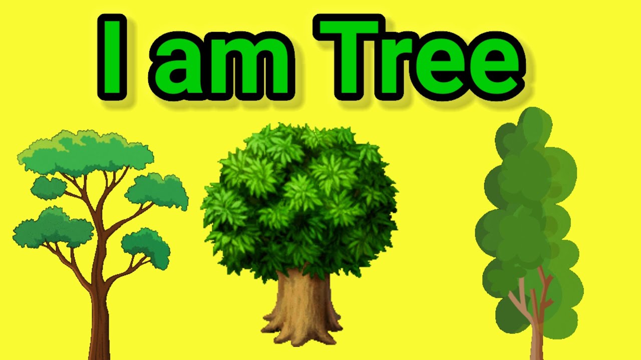 The Tree Song|Green Tree Song - YouTube