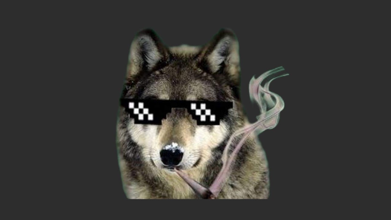 [FREE] Fast Aggressive 808 Rap Beat "Thug Wolf" | Epic Hip Hop ...